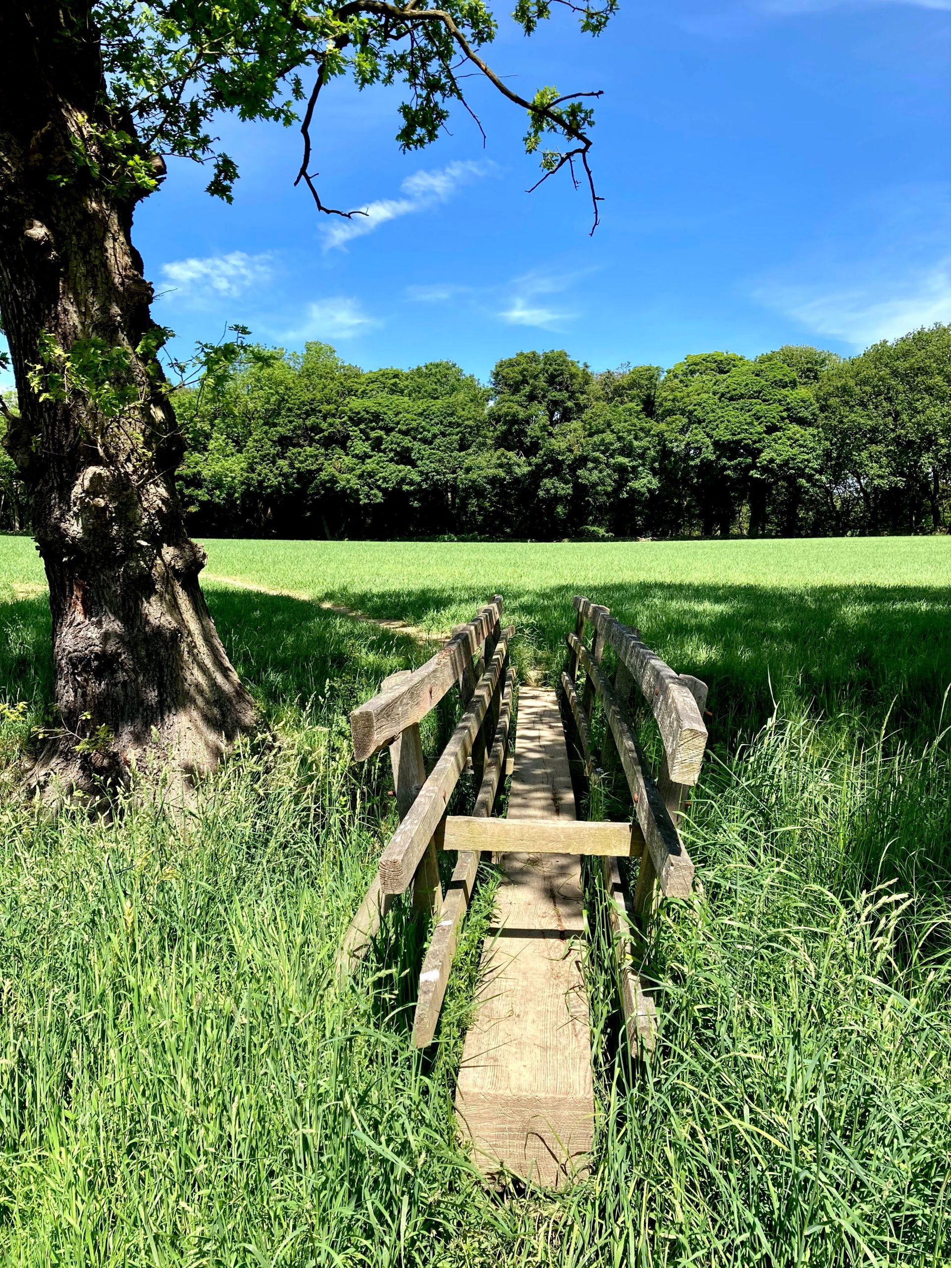 Linacre Reservoirs – Hadfield Hikes